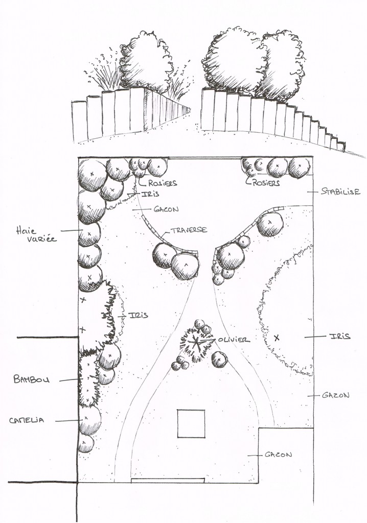Plan avec retenue talus - Brin de Nature - Paysagiste à Grenade